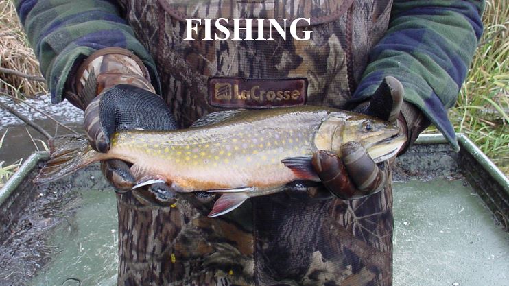 Home - Fort McCoy - iSportsman